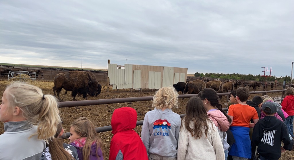 Live Feed | Wray School District